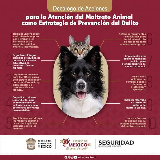 APAST-2025 – Tultitlán 2025-2027